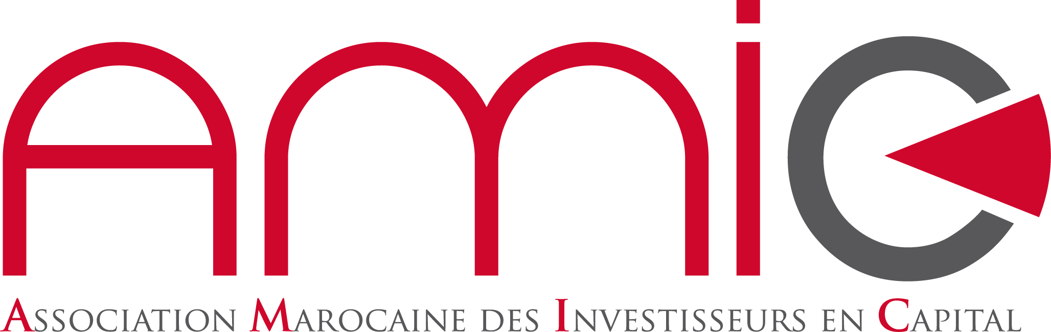 Media partners & press – AfricaPPP